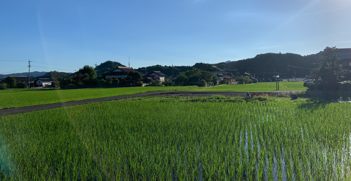 GitHub - Damen-C/Damen-C