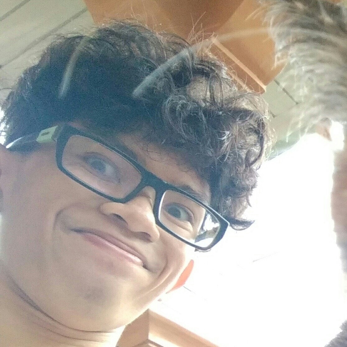 GitHub - Haaaaaaaaex/portfolio: personal portfolio