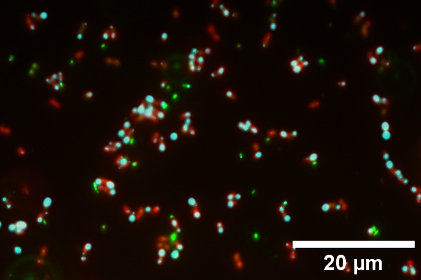 Github Zflink Wetland Methanotrophs Pha Data And Analysis Code For The Manuscript Resource