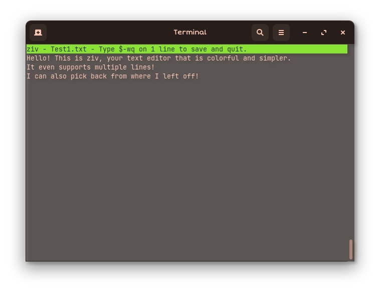 GitHub - z-izz/ziv: Your text editor that's colorful and simpler.