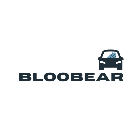 GitHub - Zylla05/BlooBear