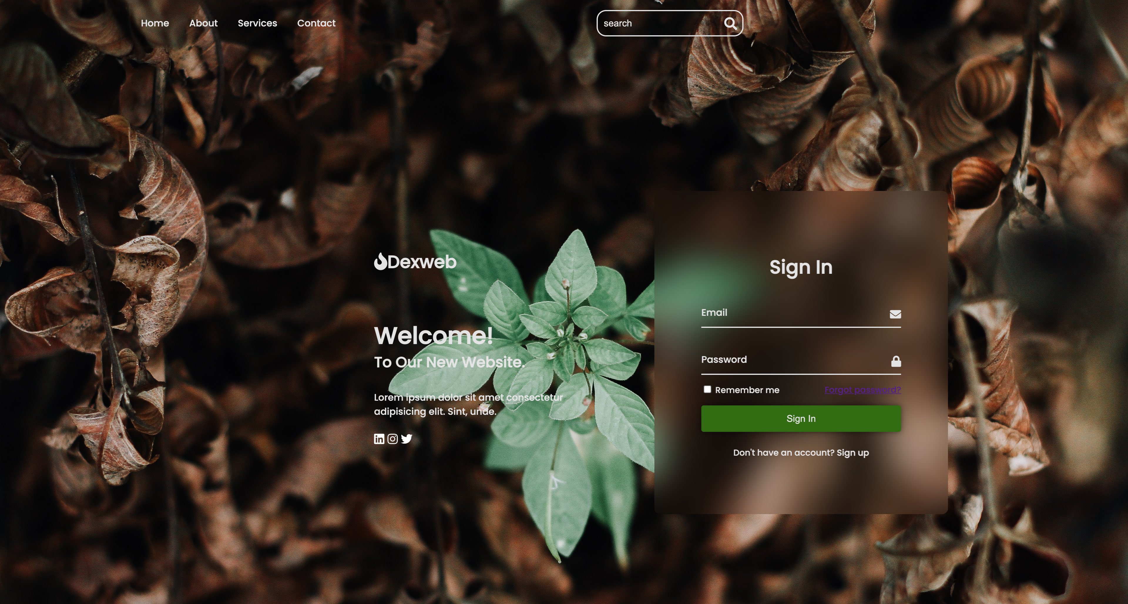 GitHub - mydevthings/Dexweb-Login-and-Register-Landing-Page: Dexweb ...