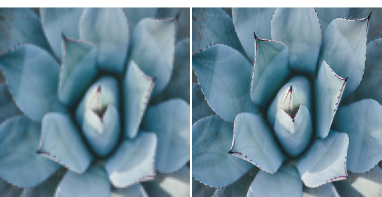 Github Anuroy2146 Image Enhancer Webapp Swinv2 Enhancing The Quality Of Compressed And Low