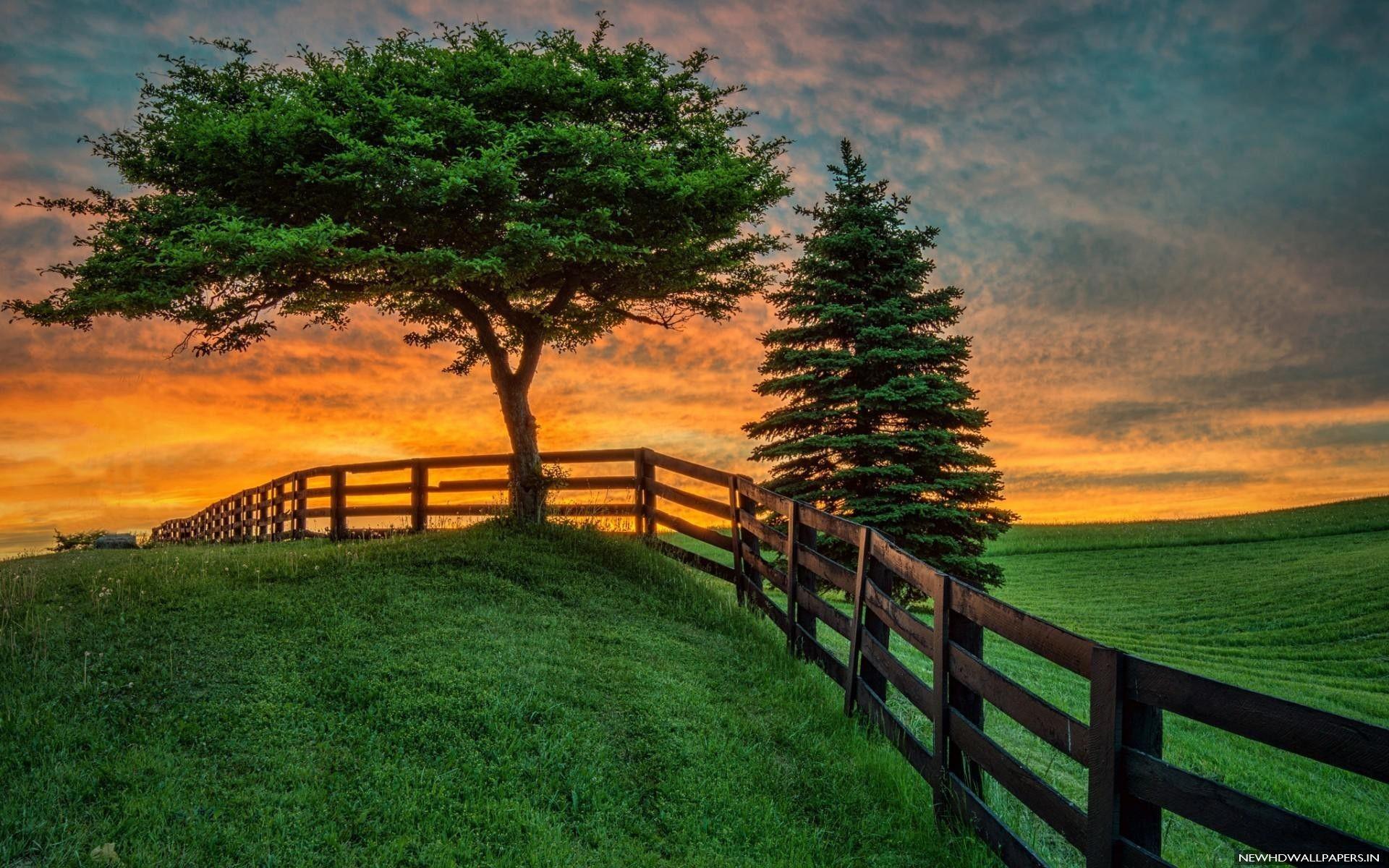 GitHub - abdul-rozzaq/rayyandeveloper