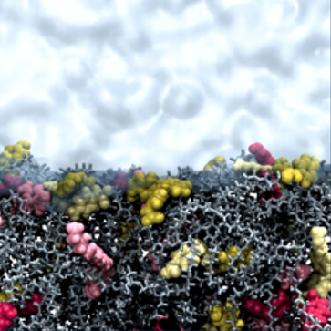 GitHub - tzvicky/polyu_ff: Empirical force filed library for ...