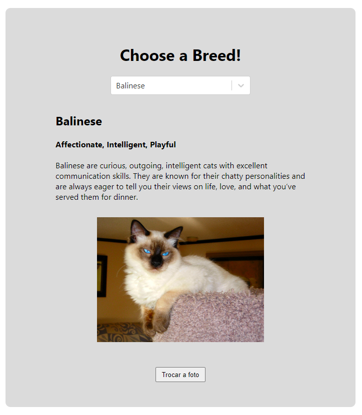 GitHub - gdegato/cat-api: Projeto desenvolvido que consulta dados da API The Cat API - Cats as a ...