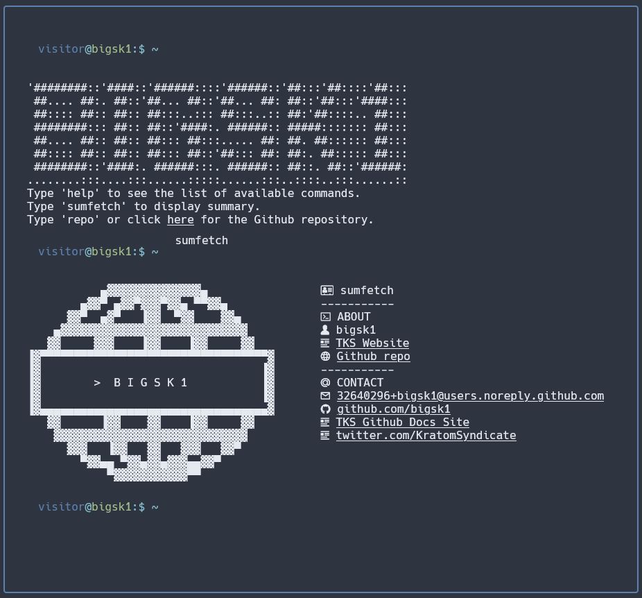 GitHub - bigsk1/TermSite: 💻 Build a terminal styled website
