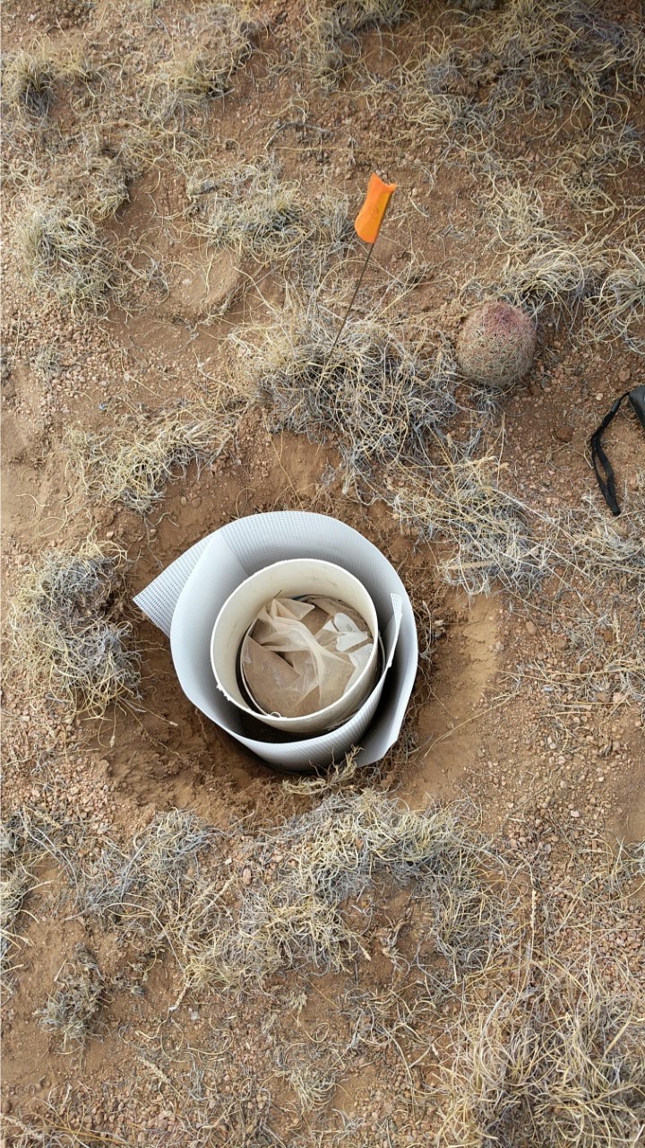 GitHub - SEVLTER/Root-Donut-Climate-Sensitivity: Root donut data and scripts for belowground net ...