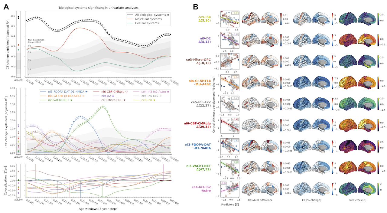 GitHub - LeonDLotter/CTdev: Repository accompanying the publication "Regional patterns of human ...