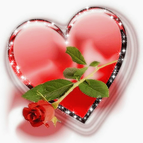 GitHub - dj031221/amorcito