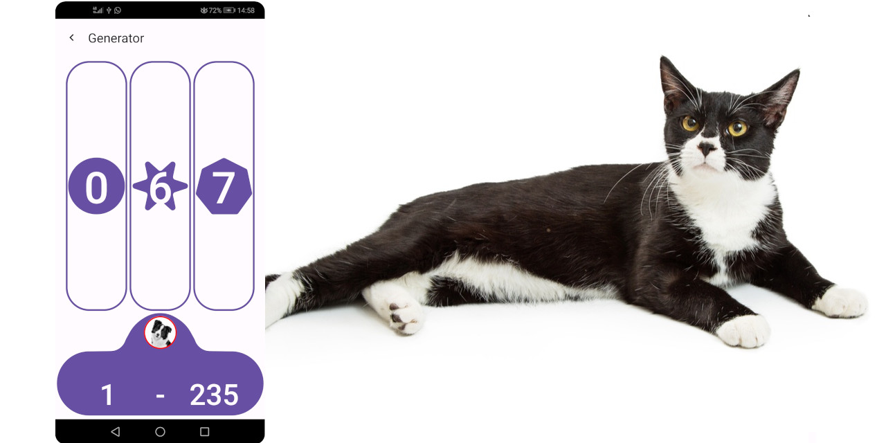 GitHub - East-X/generator