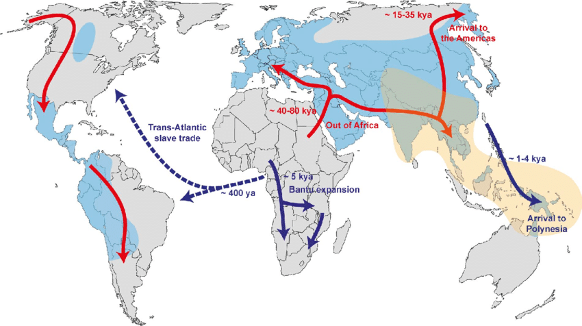 GitHub - abeagomez/cuba_migrations_simulation: Simulation of Cuban ...