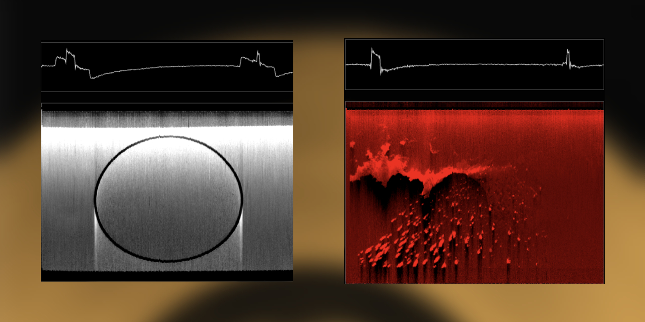 golden-record-images · GitHub Topics · GitHub