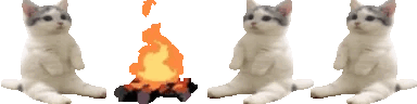 GitHub - aflacc/campfire-cats: make cats around campfire gifs maybe????