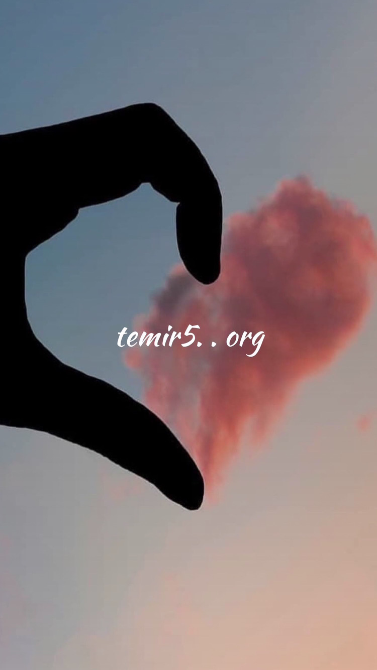 explorer-filemanager · GitHub Topics · GitHub