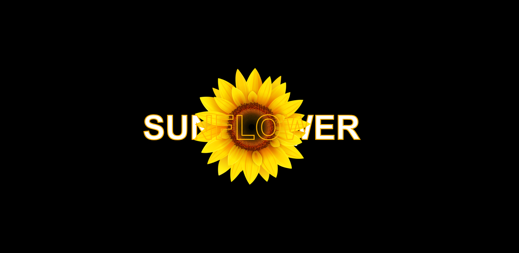 GitHub - Tkz-Hx/SUNFLOWER-SPIN