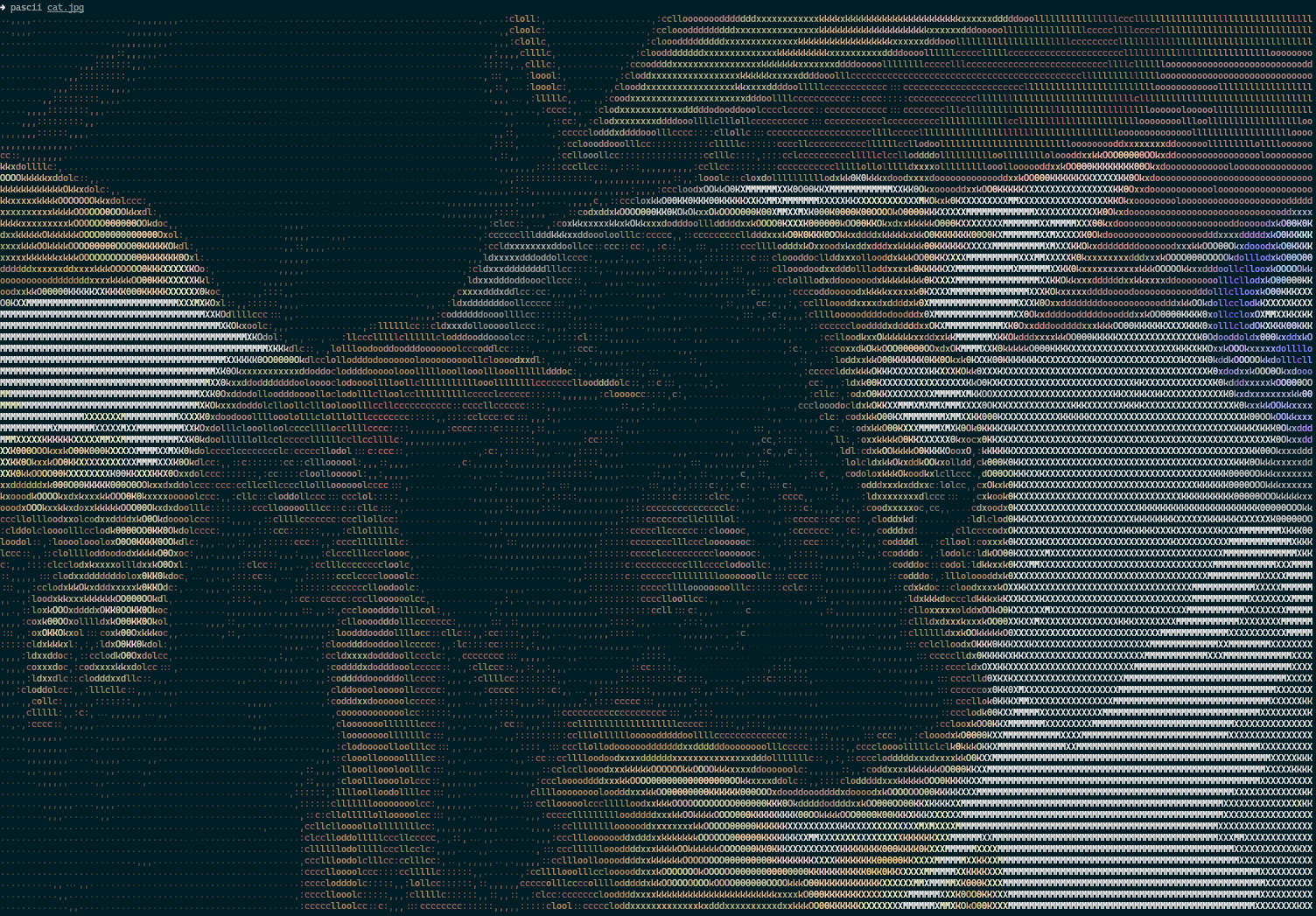 GitHub - bend-n/pascii: jp2a ripoff