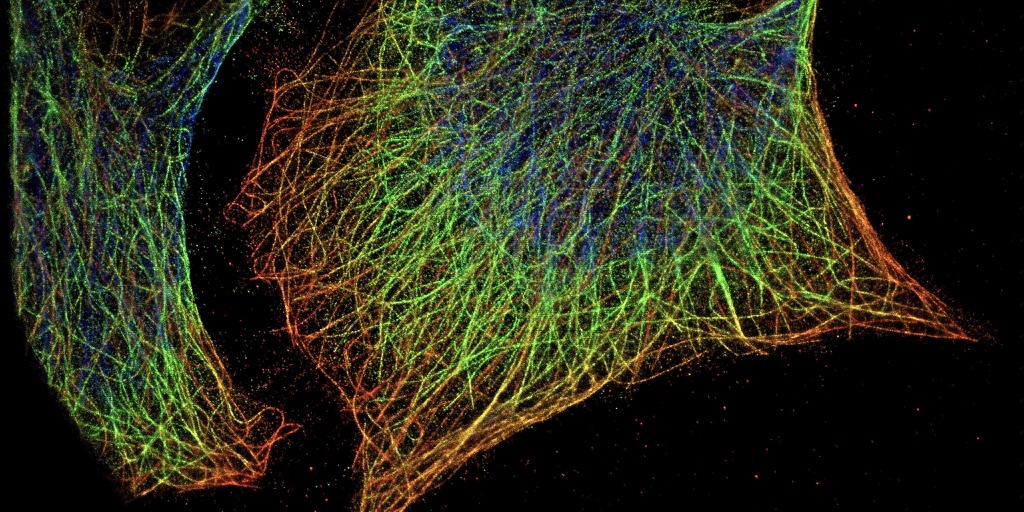 GitHub - tianrui-qi/DSMLM: Deep Volumetric Localization Super-Resolution Microscopy