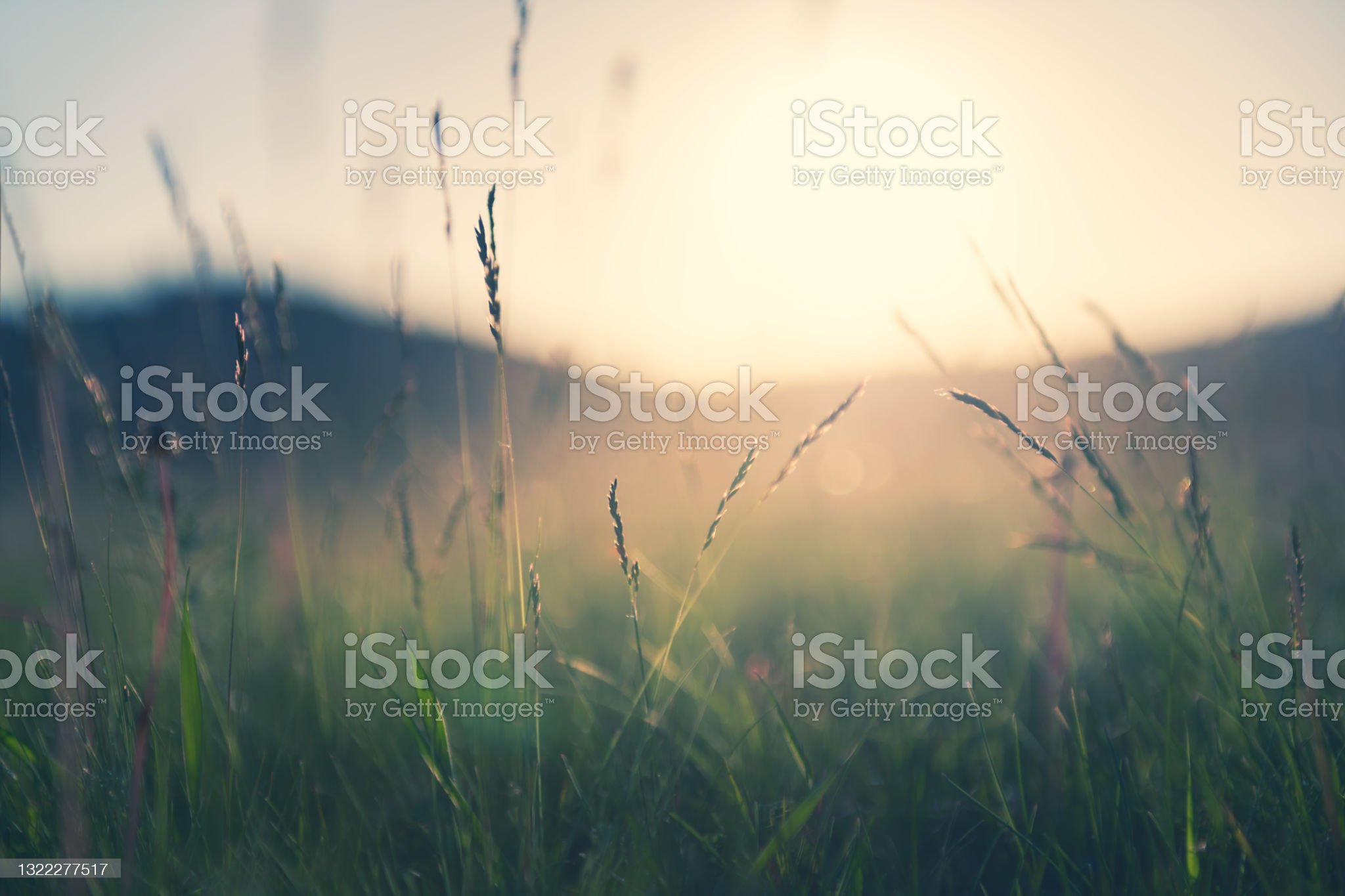 GitHub - varshithapuvvada/Nature-image: Everybody loves in Nature