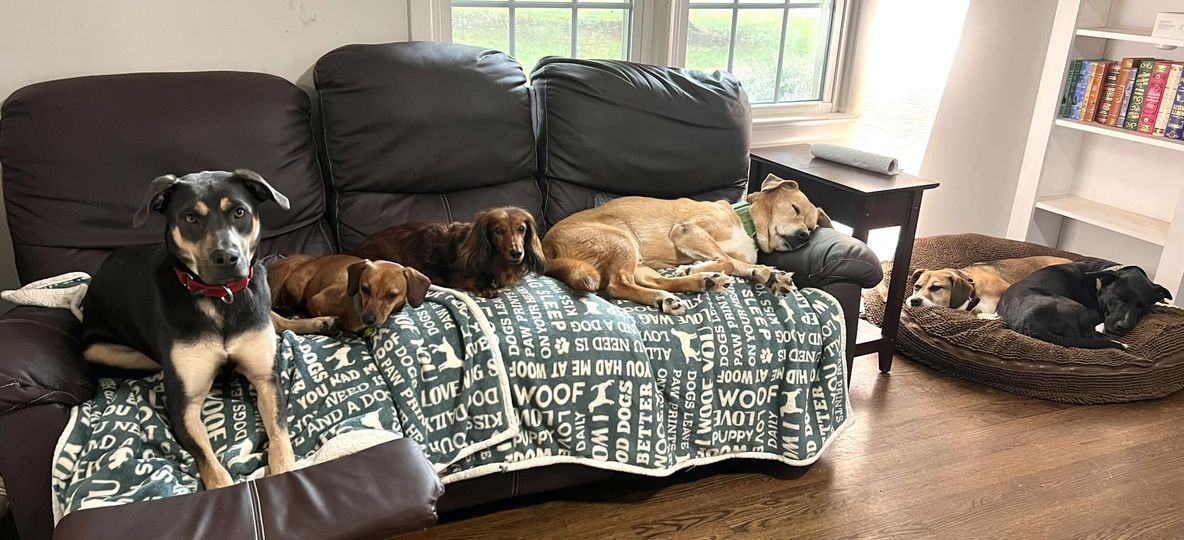 p6 · GitHub Topics · GitHub