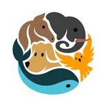 Github Snbd App Animals
