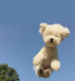 GitHub - alpapago/GOOD_LUCK_STUDY: System Design Interview