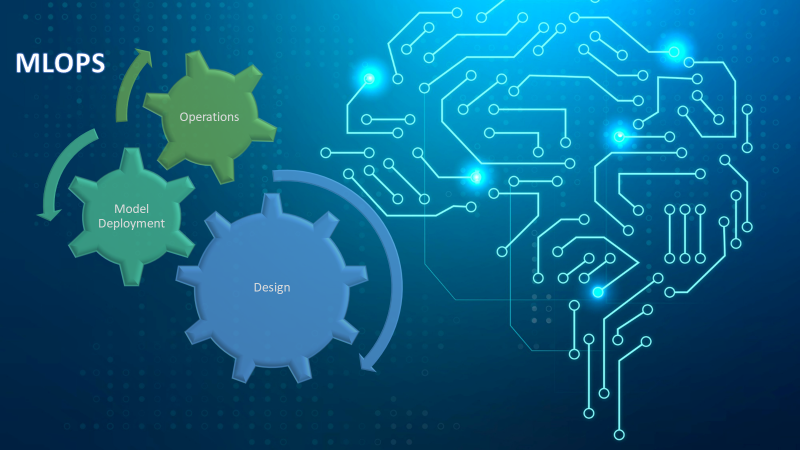 GitHub - sh3rin3j3sna/Fowl_disease_identification: Image classification with CNN_classifier ...