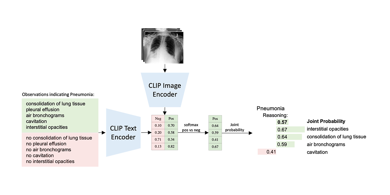 GitHub - ChantalMP/Xplainer: Official repository for the paper ...