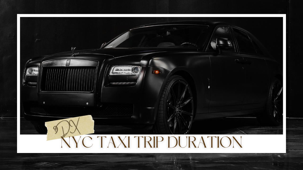 GitHub - Musician9dx/DS-NYCT