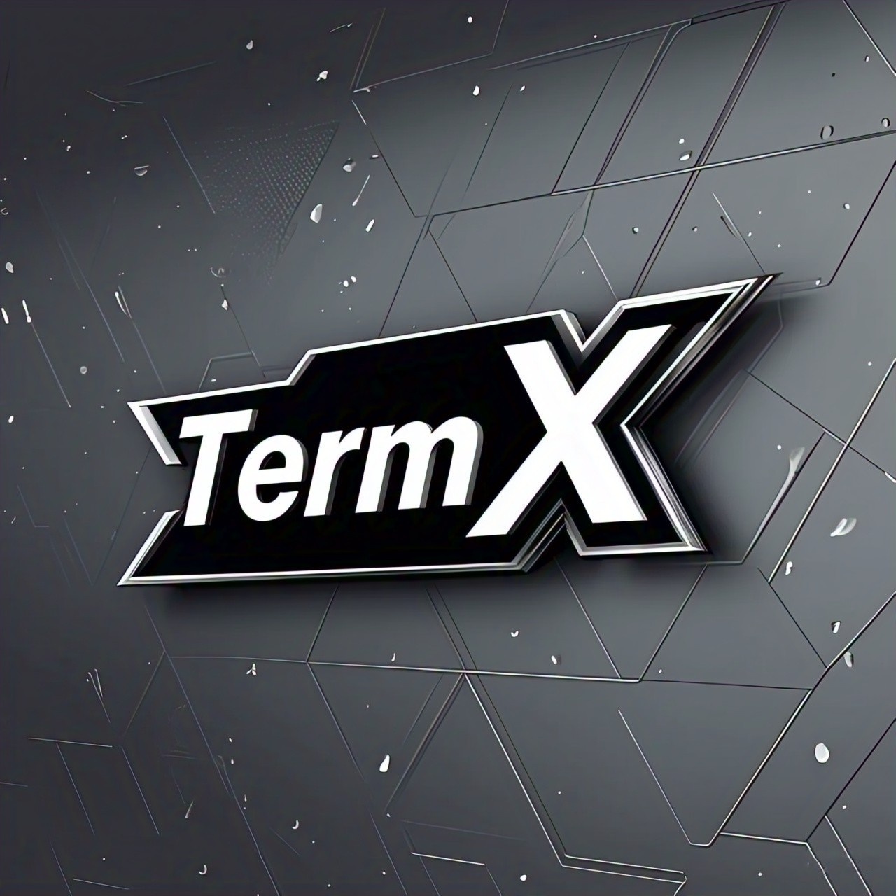 GitHub - Raqeeb27/TermX