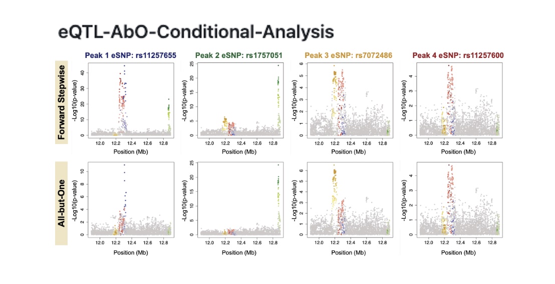 GitHub - maggiebr0wn/eQTL-AbO-Conditional-Analysis: This project fine-maps eQTL with All but One ...