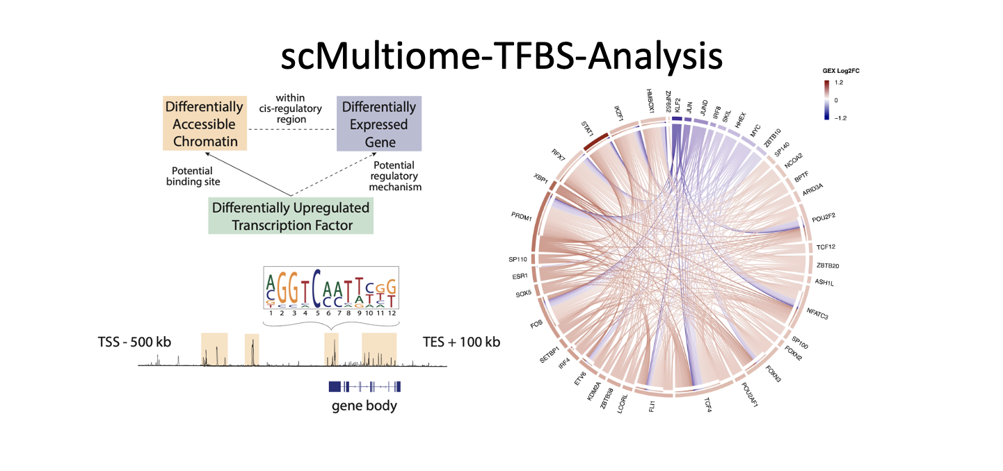 GitHub - maggiebr0wn/scMultiome-TFBS-Analysis: The objective of this pipeline is to identify ...