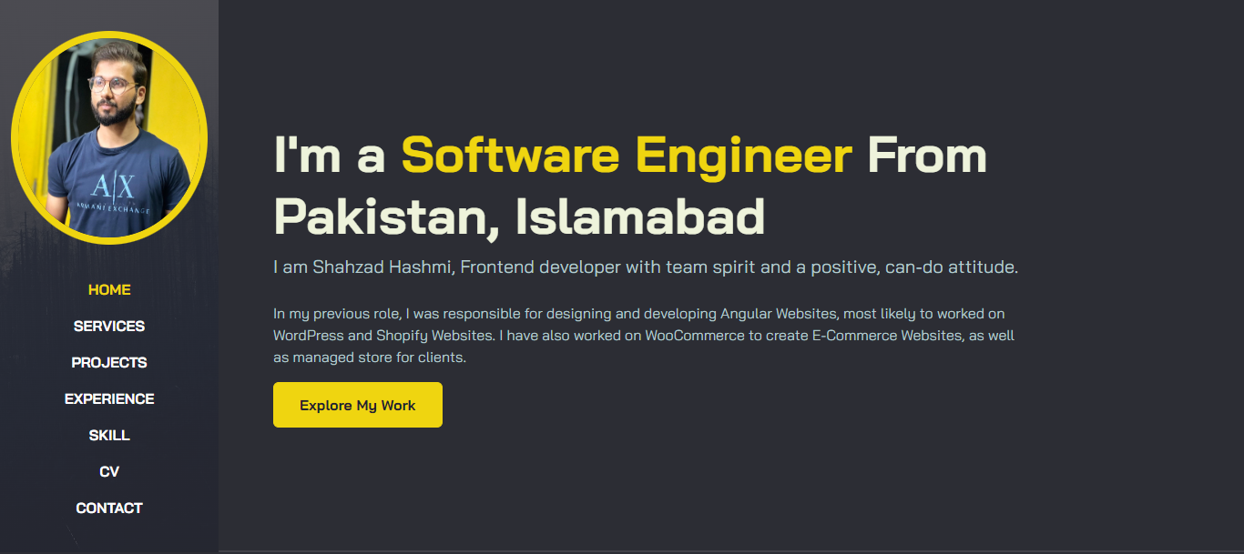 GitHub - shahzadhashmi/shahzad_portfolio