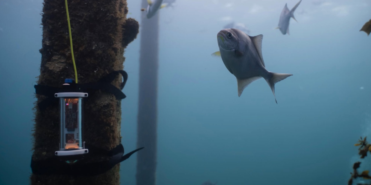 Github Scottapotamas Spe Marine Node Prototype Project To Build An