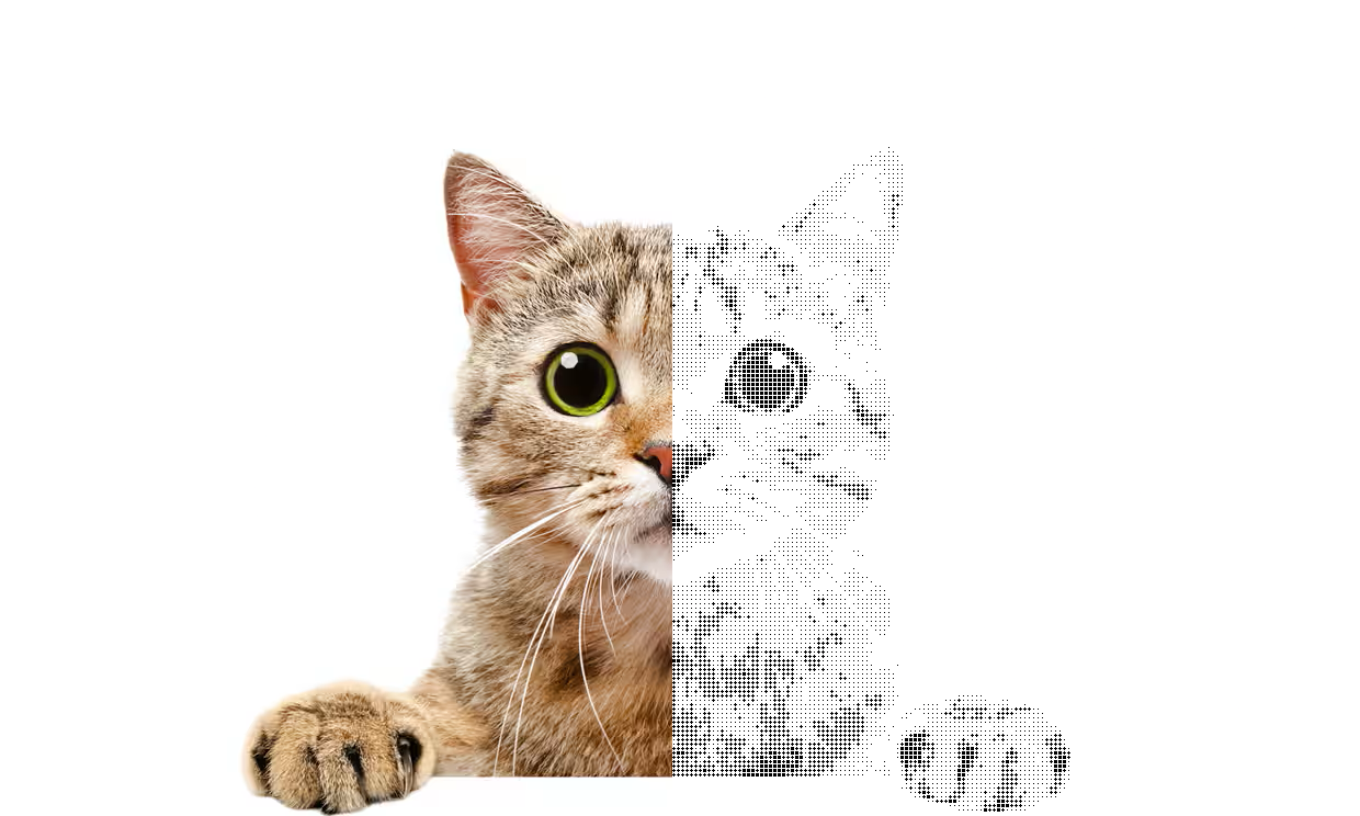 GitHub - Olian04/halftone-image-converter: Convert any provided image to a version that could ...