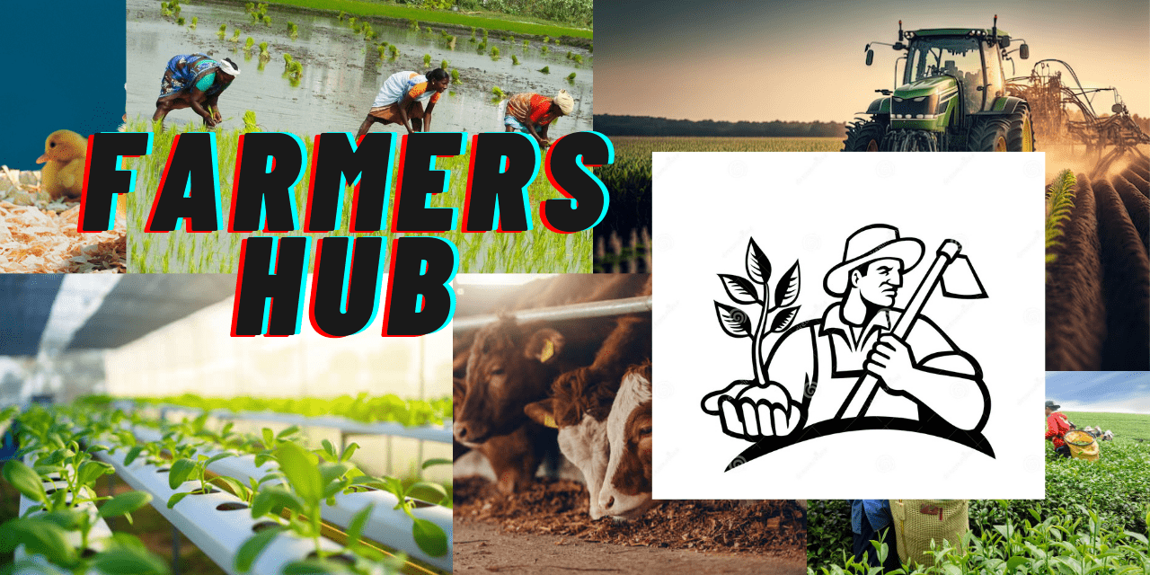 GitHub - NimanthikaAbeyrathna/Farmers-Hub