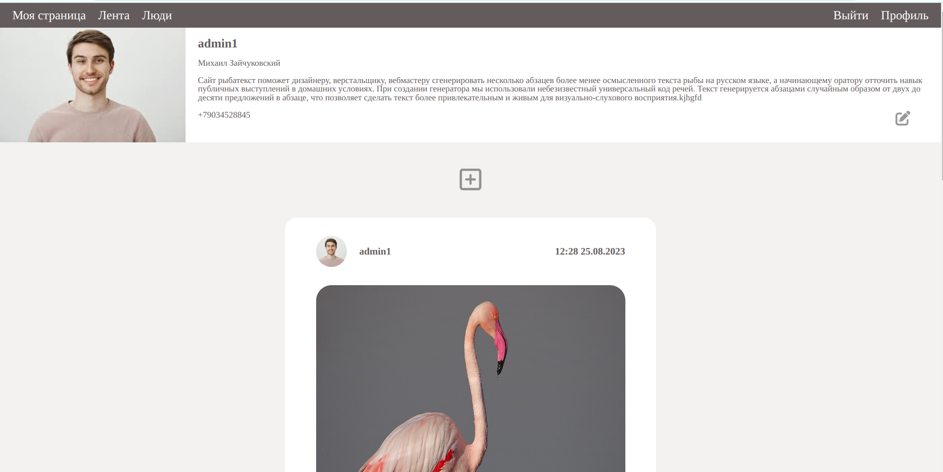 GitHub - shulman89/small-social-network: Python | DRF | React