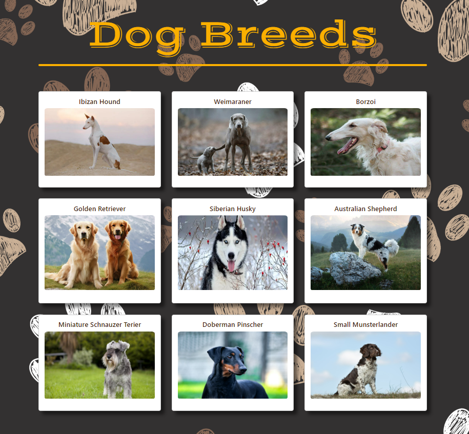 GitHub - SanjaRogovic/dogbreeds: React headless CMS + Vite.js + Contentful