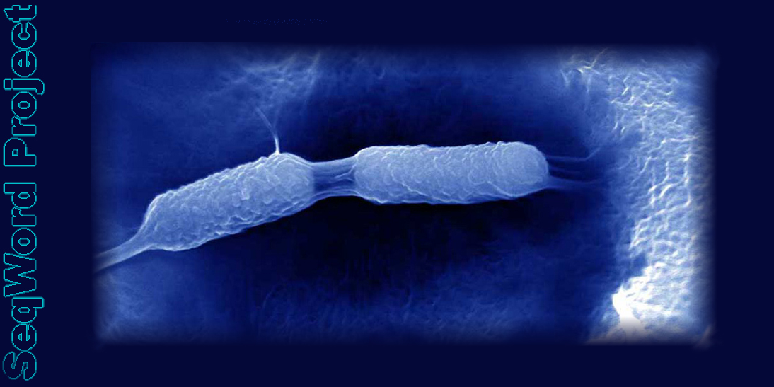 genomic-data-analysis · GitHub Topics · GitHub