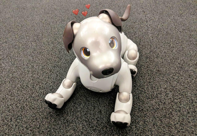 GitHub - RoboticsClubatUCF/Dawg: A robot dawg through the Robotics Club at Central Florida