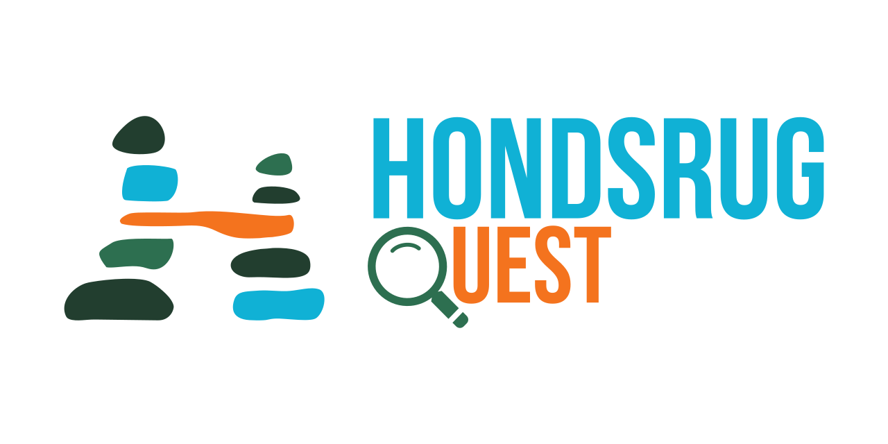 GitHub - KyanJeuring/HondsrugQuest: Een Quest Systeem gemaakt voor het Hondsrug College Emmen