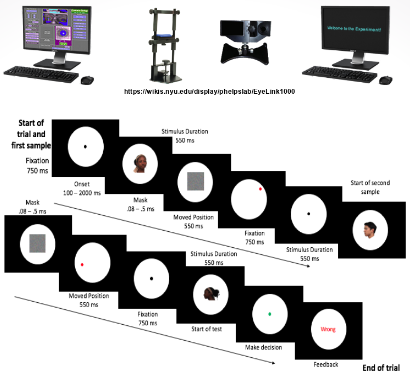 GitHub - chinasatokolo/ALSA: This project aims to provide preliminary ...