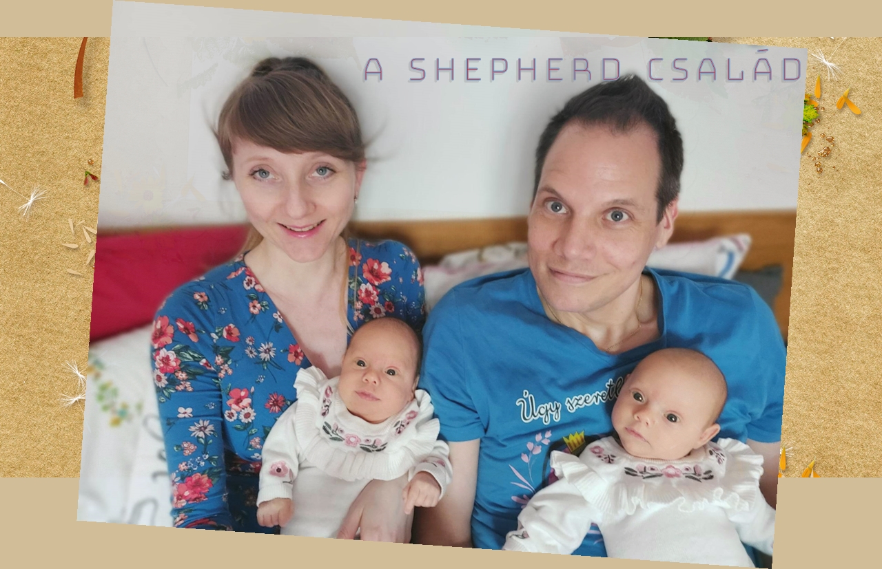 GitHub - PlutoneonConsultancy/the-shepherd-csalad-pitch-for-tv: **Subject Matter: Access Led ...