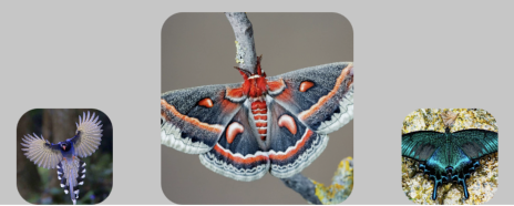 Github Yilmazedis Triocarousel