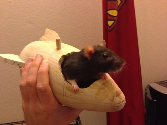 GitHub - OLVT-Trajectory-Aerodynamic-Analysis/RATS: Rocket Analysis ...