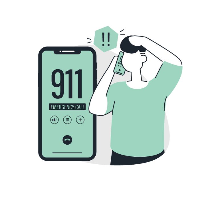 GitHub - oyerahul/911_Calls_Data_Capstone_Project: For this capstone project we will be ...