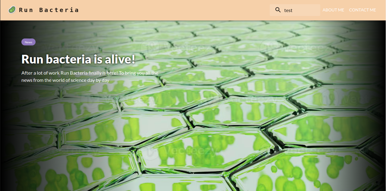 GitHub - Rodrizio343/run-bacteria: Official Run Bacteria's blog/website