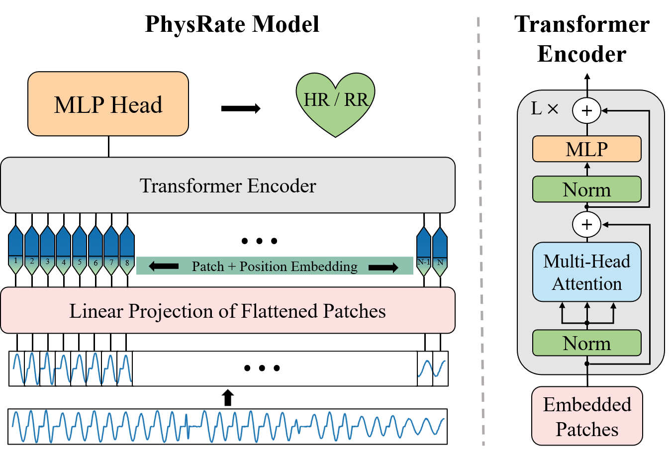 GitHub - ShawnTan86/PhysRate: A model for estimating the waveform rate of physiological signals