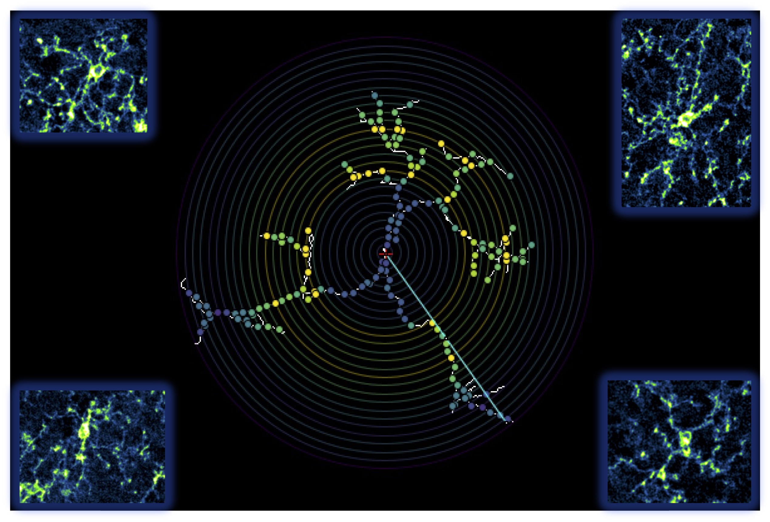 GitHub - mabblab/Microglia-analysis