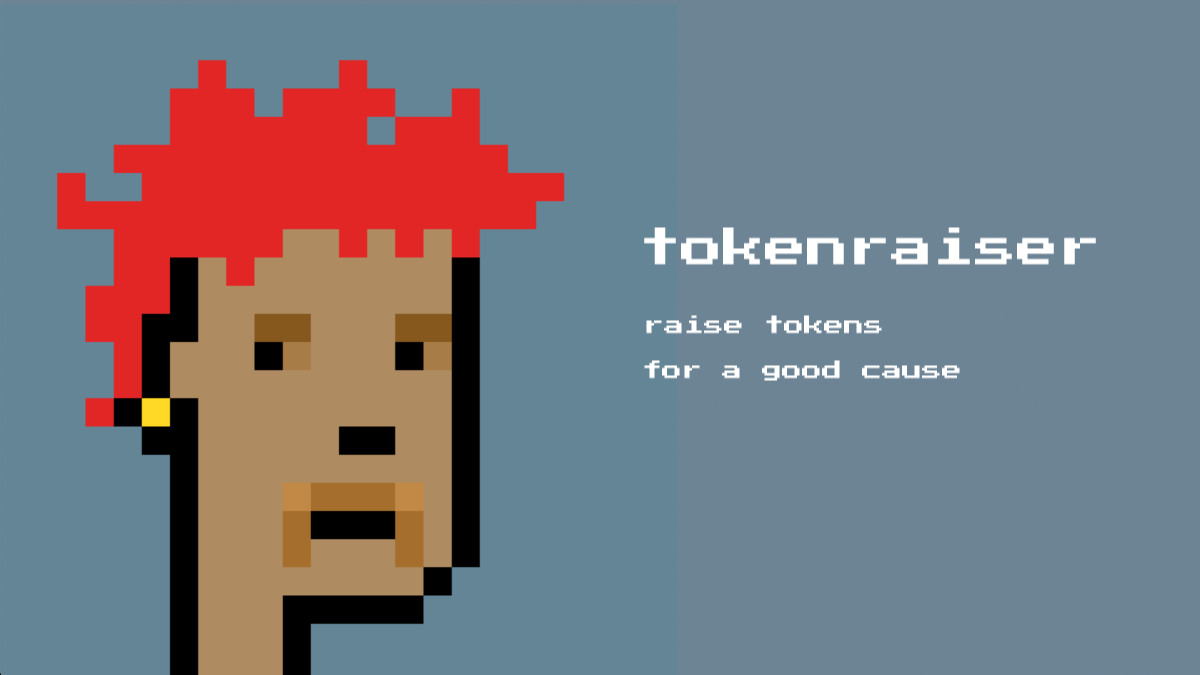 GitHub - gwendall/tokenraiser: Raise tokens for a good cause
